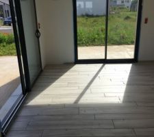 Photos et idées Carrelage Imitation bois (3 487 photos)