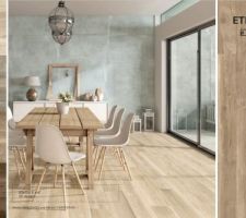 Photos et idées Carrelage Imitation bois (3 682 photos)